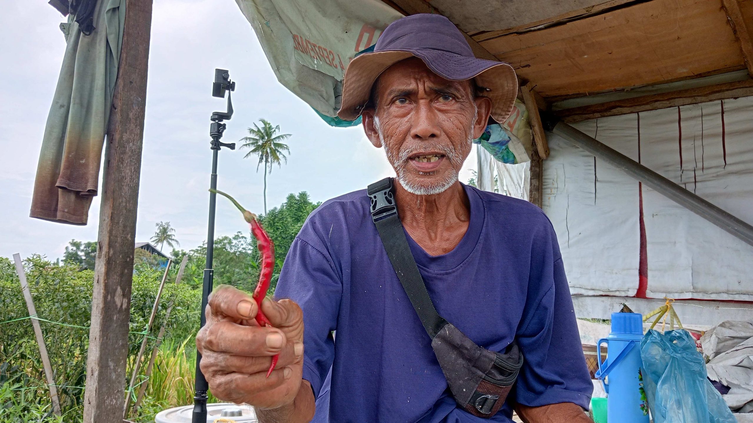 FOREST EARTH – This is the moment when we must come together to save ...