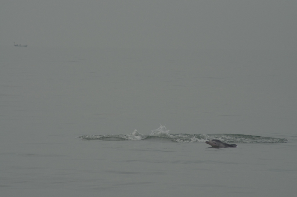 Kearifan Lokal Jamu Laut di Desa Jaring Halus dan Mitigasi Perubahan ...