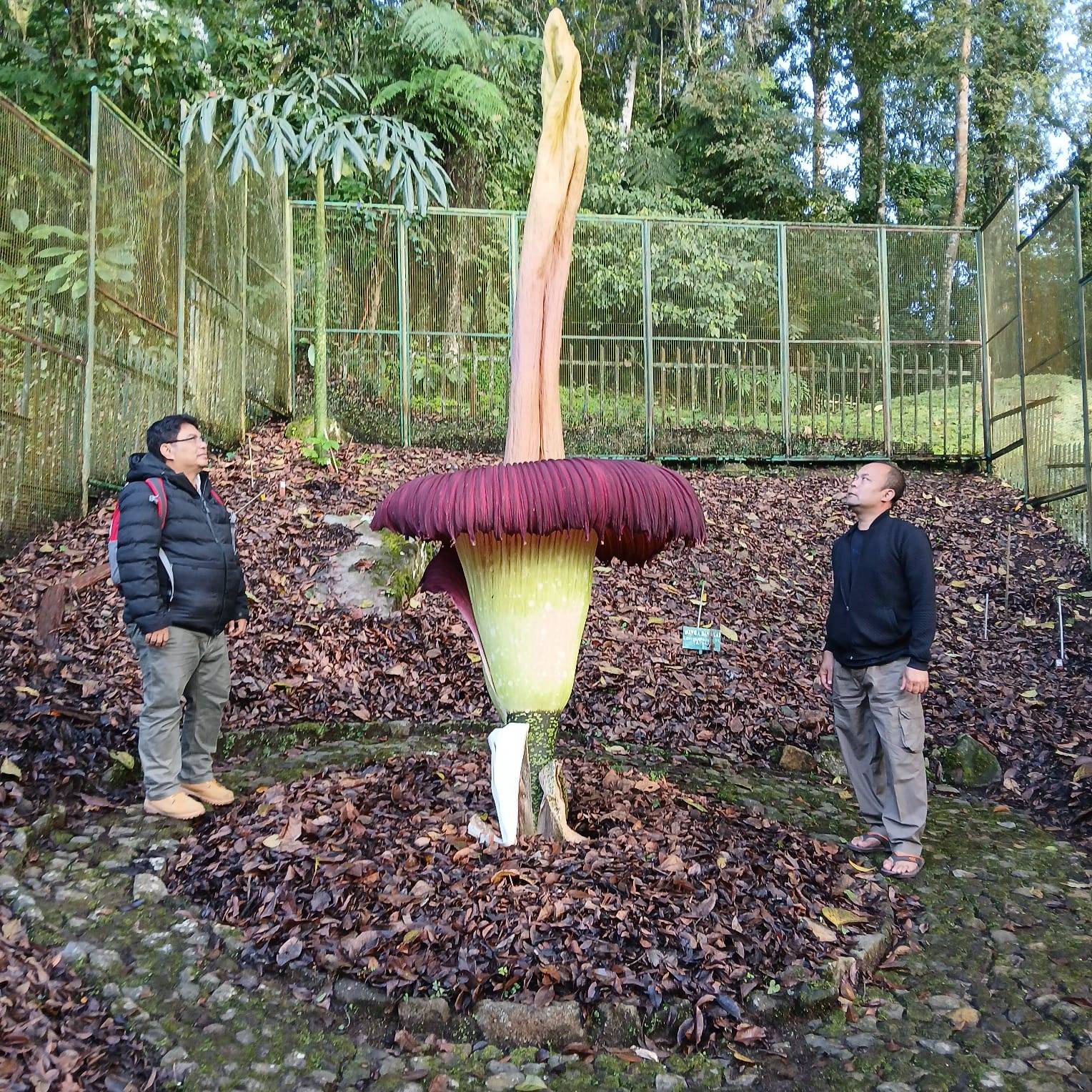 FOREST EARTH – This is the moment when we must come together to save ...