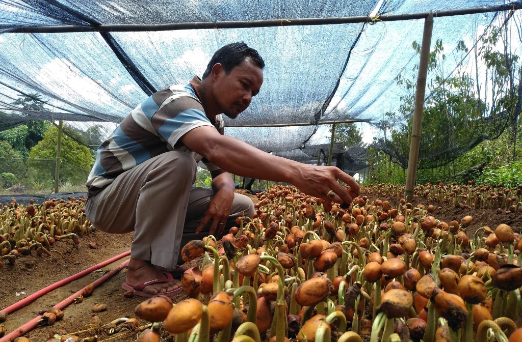 FOREST EARTH – This is the moment when we must come together to save ...